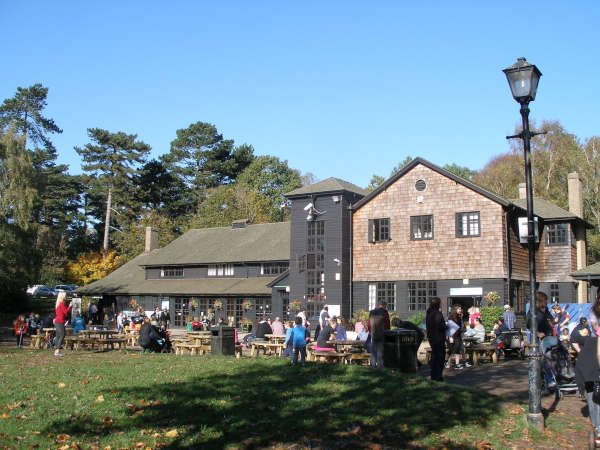 Visitor experience masterplan and income generation, Royal Victoria ...